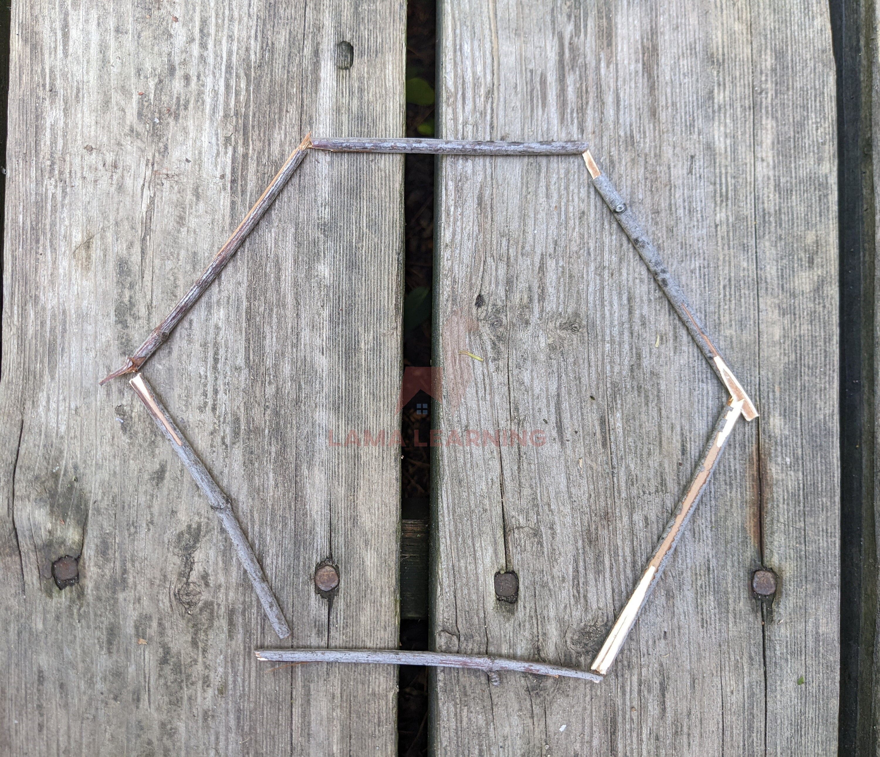 Nature Shapes Flashcards Kindergarten Cards Montessori - Etsy