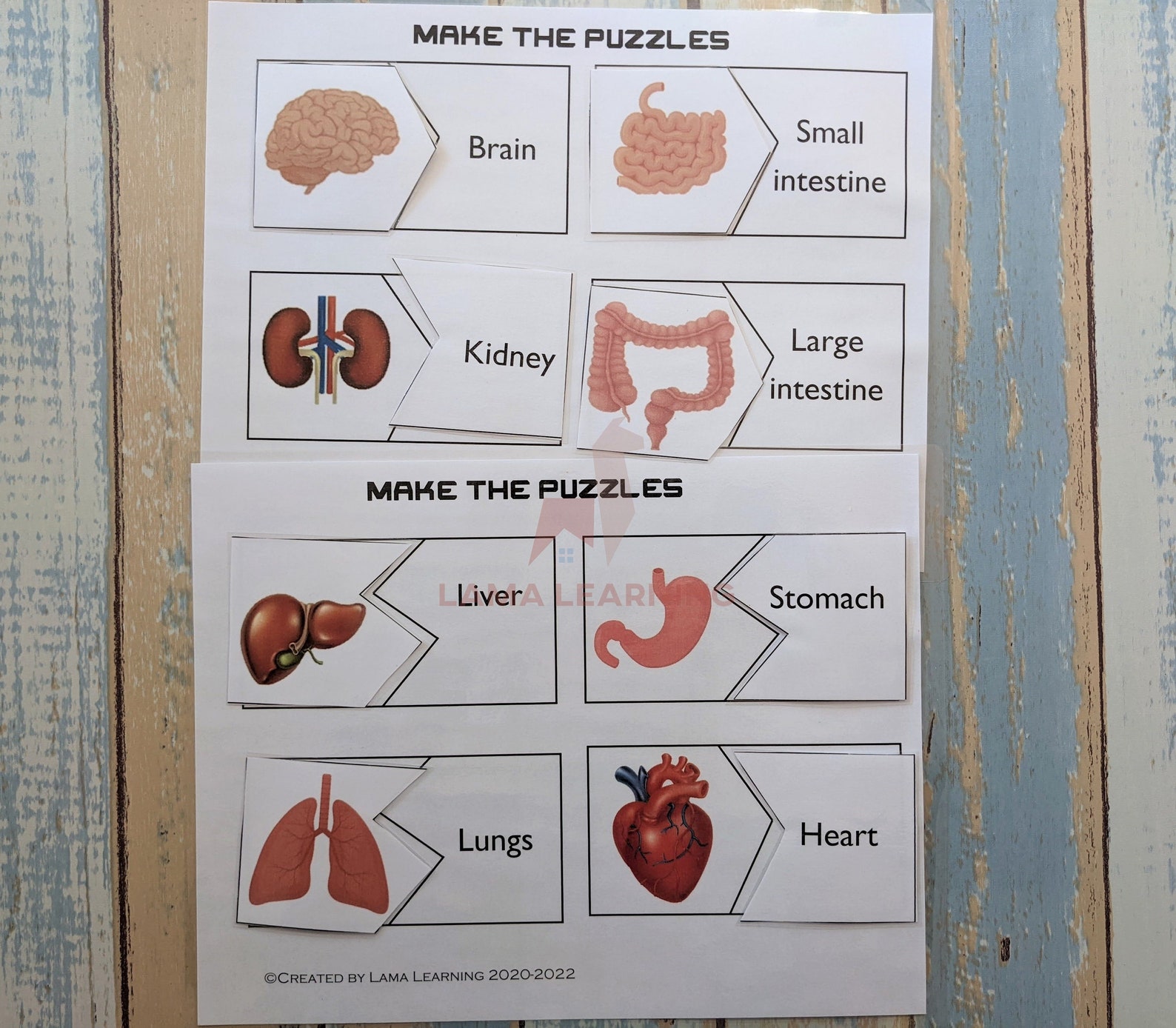 Human Body Pre-k Kindergarten Activity Printable, Homeschool, About Me ...