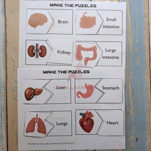 Human Body Pre-k Kindergarten Activity Printable, Homeschool, About Me ...