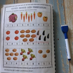 Fruits Vegetables Busy Book Activities, Shadow Matching, Learning Games ...