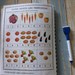 Fruits Vegetables Busy Book Activities Shadow Matching - Etsy