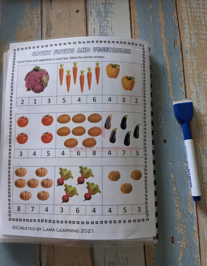 Fruits Vegetables Busy Book Activities Shadow Matching - Etsy