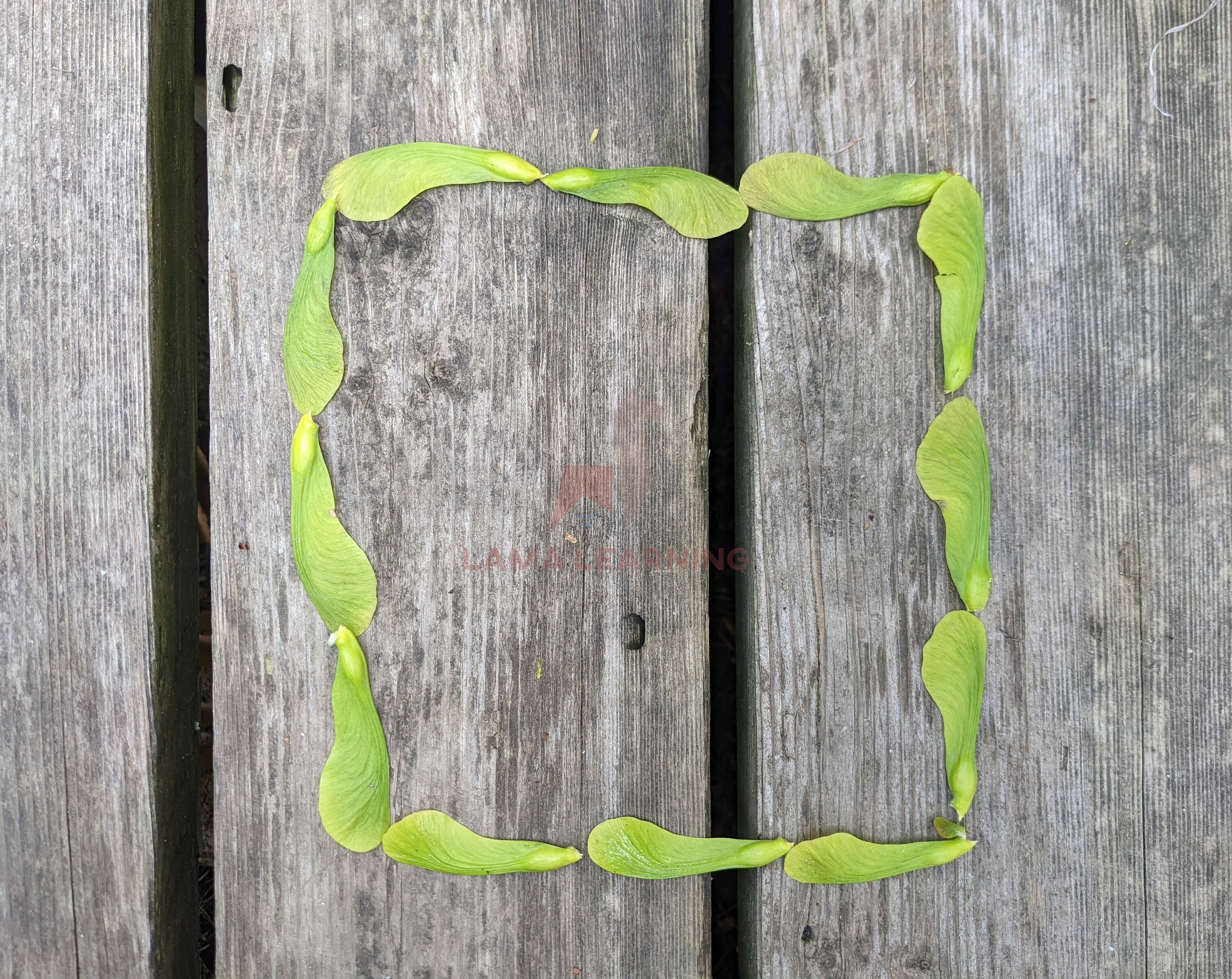 Nature Shapes Flashcards Kindergarten Cards Montessori - Etsy