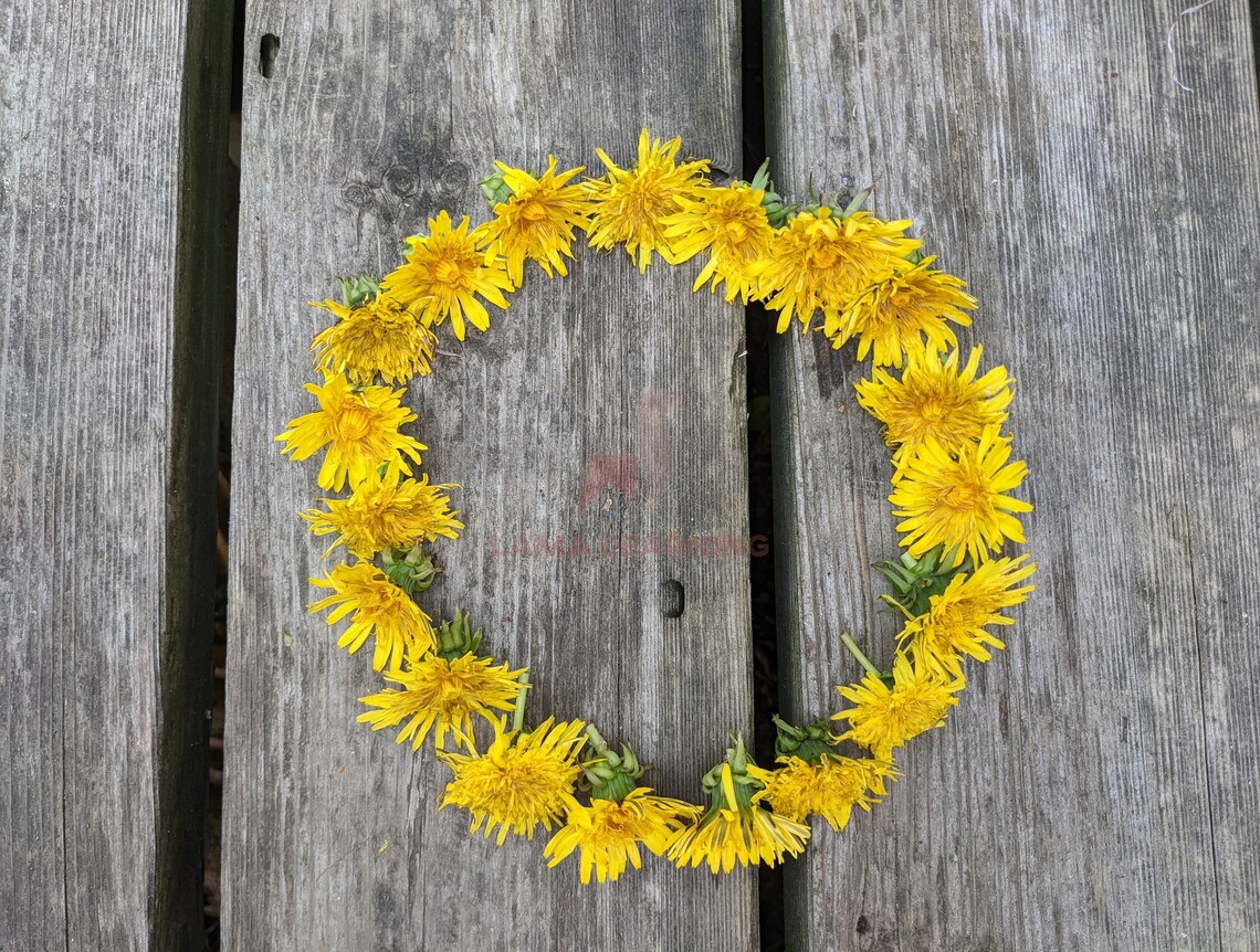 Nature Shapes Flashcards Kindergarten Cards Montessori - Etsy