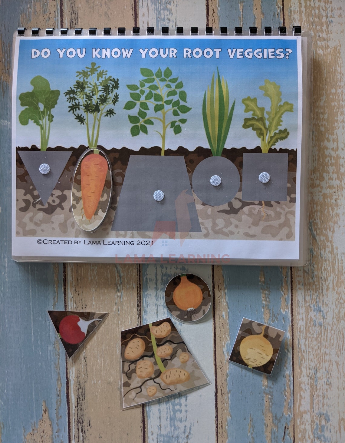 Fruits Vegetables Busy Book Activities, Shadow Matching, Learning Games ...