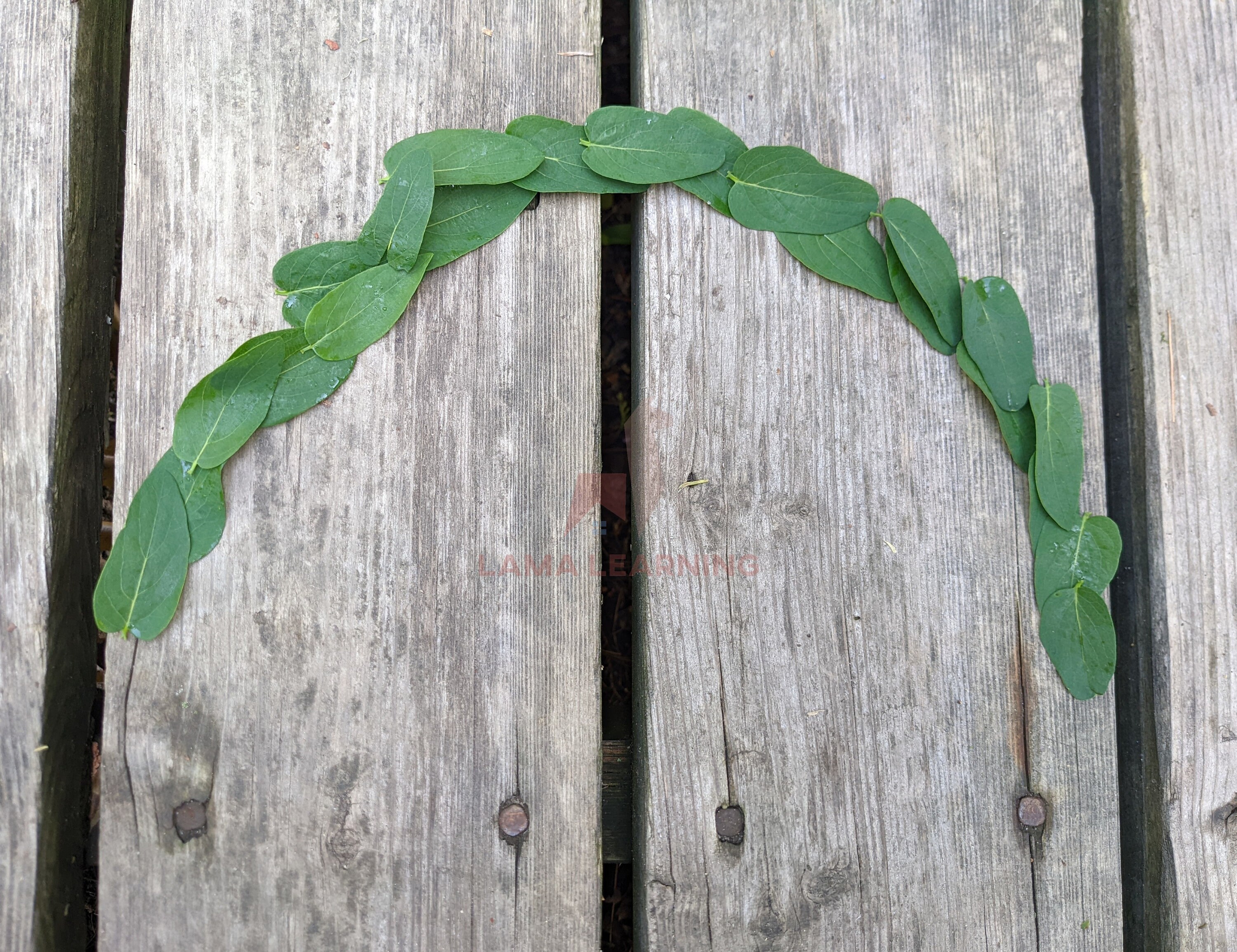 Nature Shapes Flashcards Kindergarten Cards Montessori - Etsy