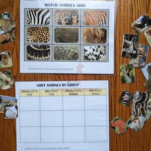 Animals Matching Skin Pattern Learning Game, Toddler, Pre-k ...