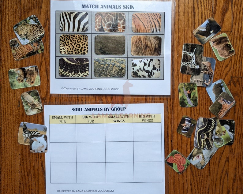 Animals Matching Skin Pattern Learning Game, Toddler, Pre-k ...