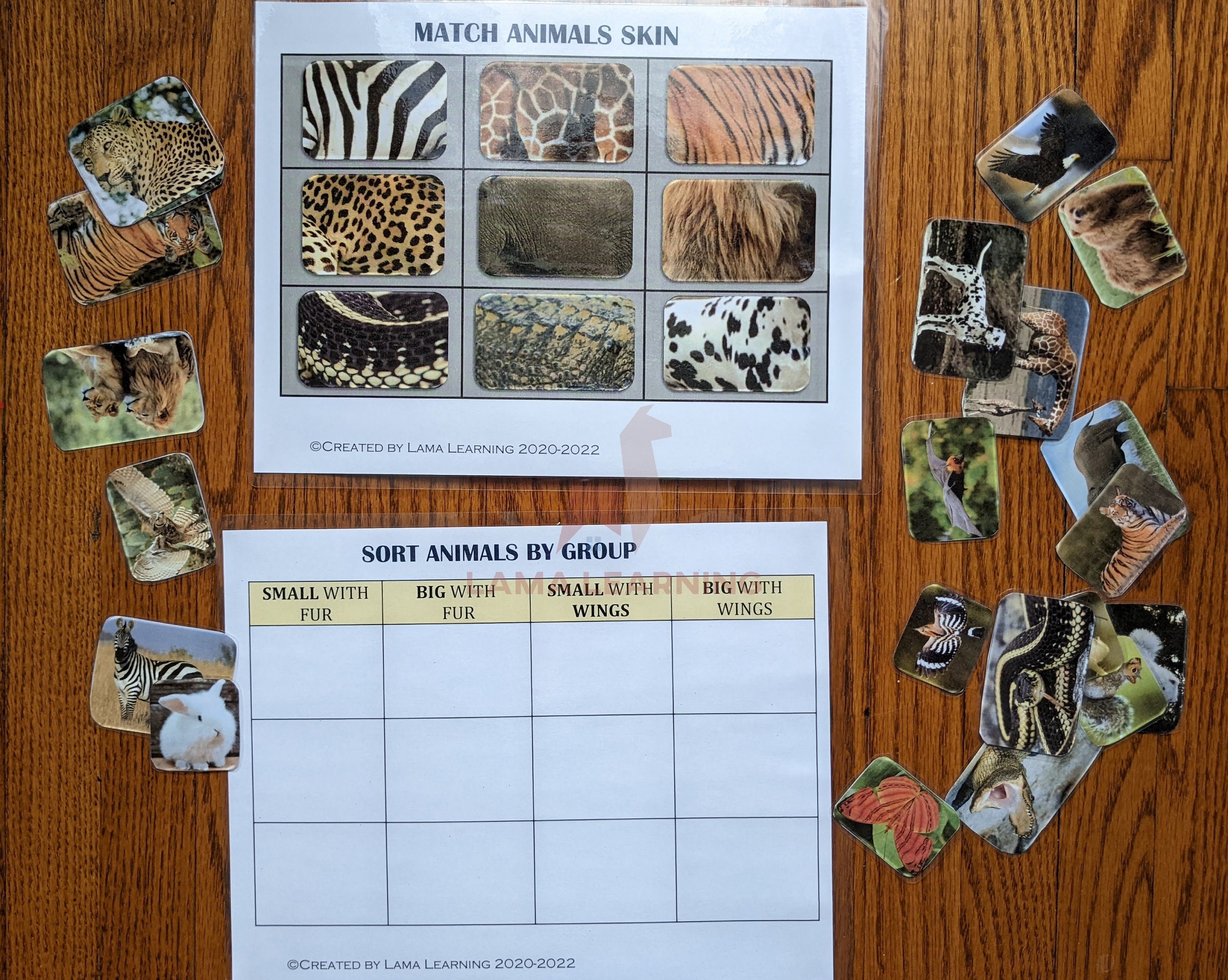 Animals Matching Skin Pattern Learning Game, Toddler, Pre-k ...