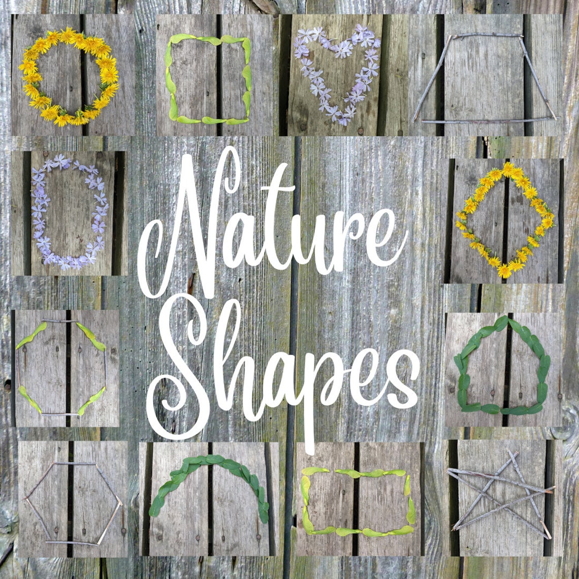 Nature Shapes Flashcards Kindergarten Cards Montessori - Etsy