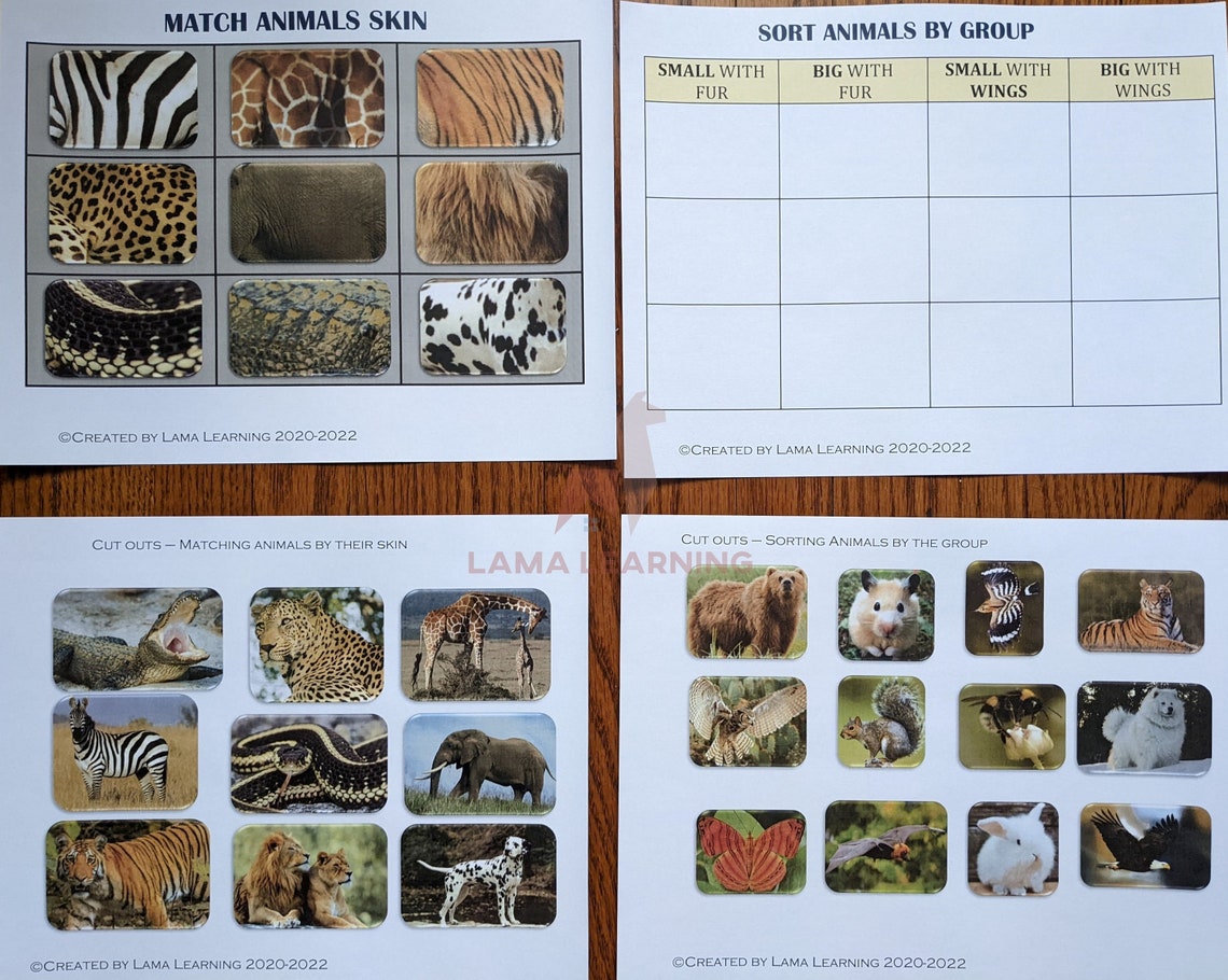 Animals Matching Skin Pattern Learning Game, Toddler, Pre-k ...