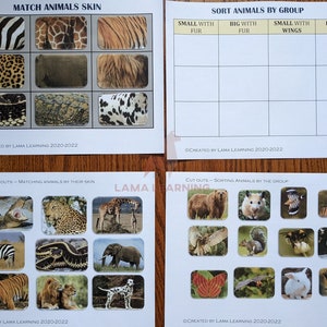 Animals Matching Skin Pattern Learning Game, Toddler, Pre-k ...