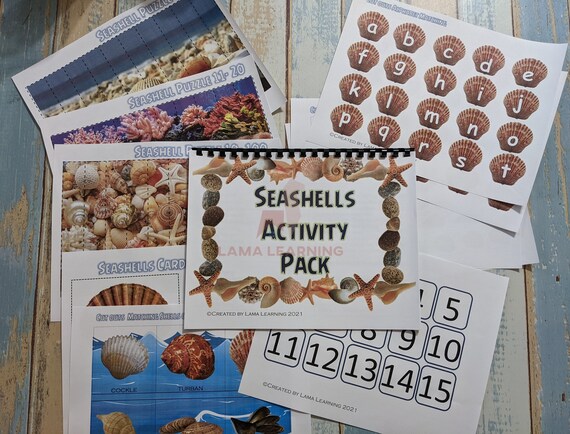 Seashells Learning Game Activity Pack Kindergarten - Etsy