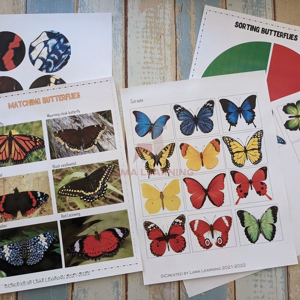 Butterfly Matching Printable - Etsy