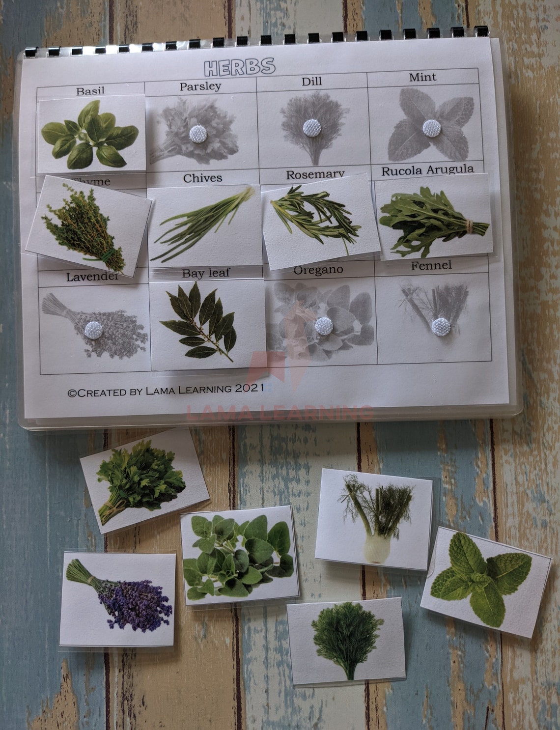 Fruits Vegetables Busy Book Activities Shadow Matching - Etsy