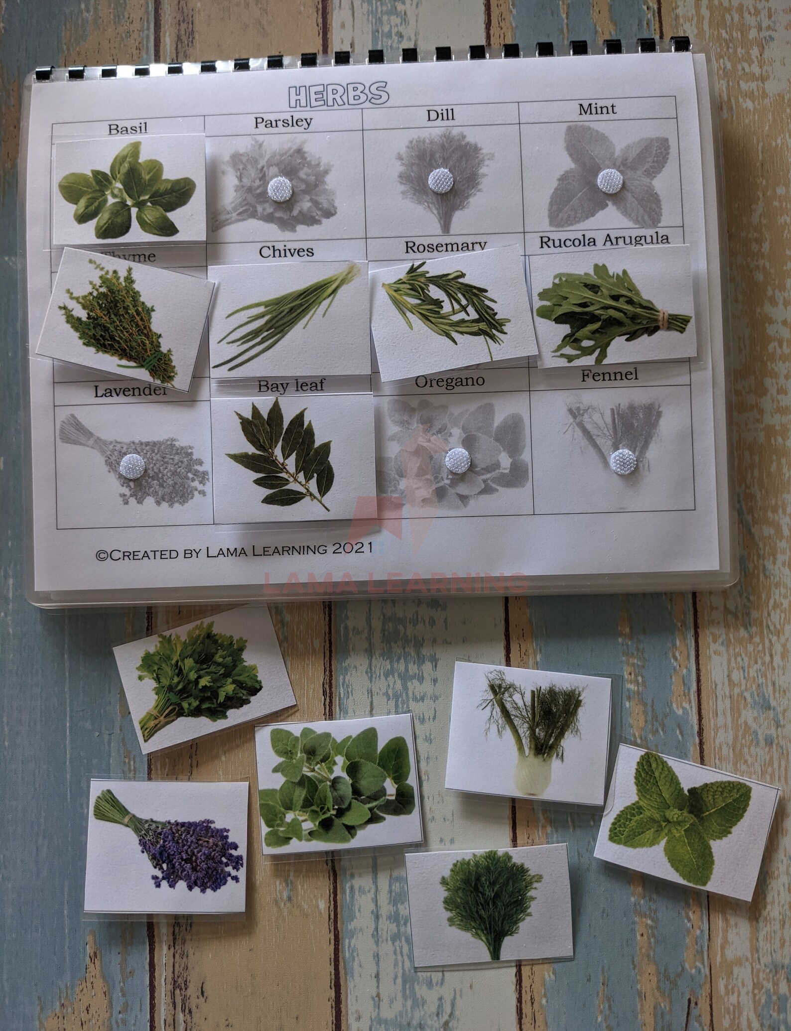 Fruits Vegetables Busy Book Activities Shadow Matching - Etsy