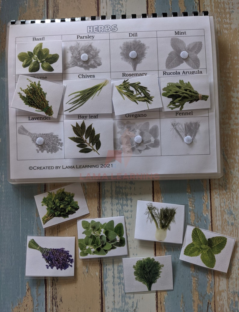 Fruits Vegetables Busy Book Activities, Shadow Matching, Learning Games ...