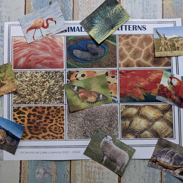 Animal Skin Patterns Matching - Etsy