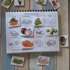 Fruits Vegetables Busy Book Activities, Shadow Matching, Learning Games ...
