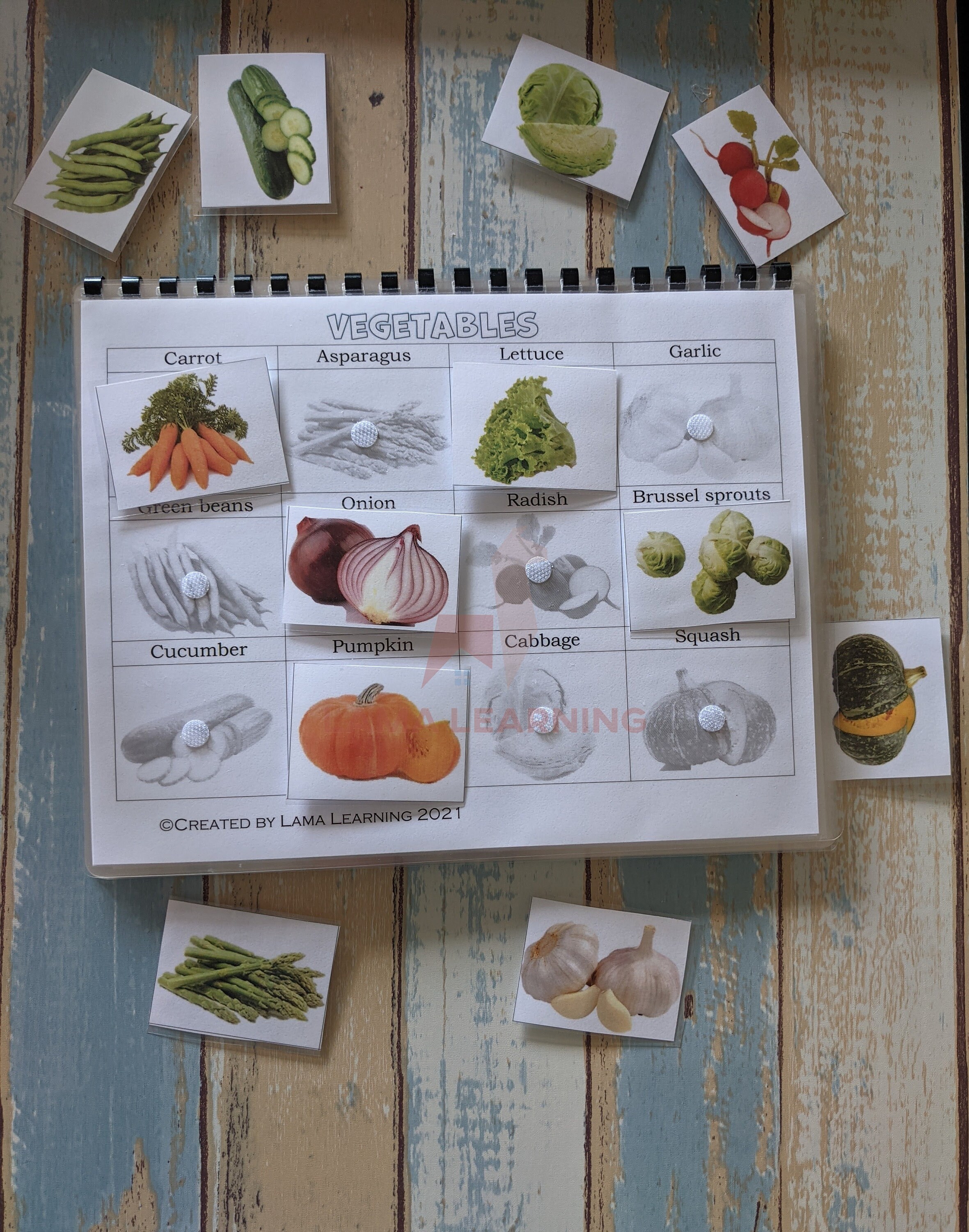 Fruits Vegetables Busy Book Activities, Shadow Matching, Learning Games ...