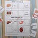 Human Body Pre-k Kindergarten Activity Printable, Homeschool, About Me ...