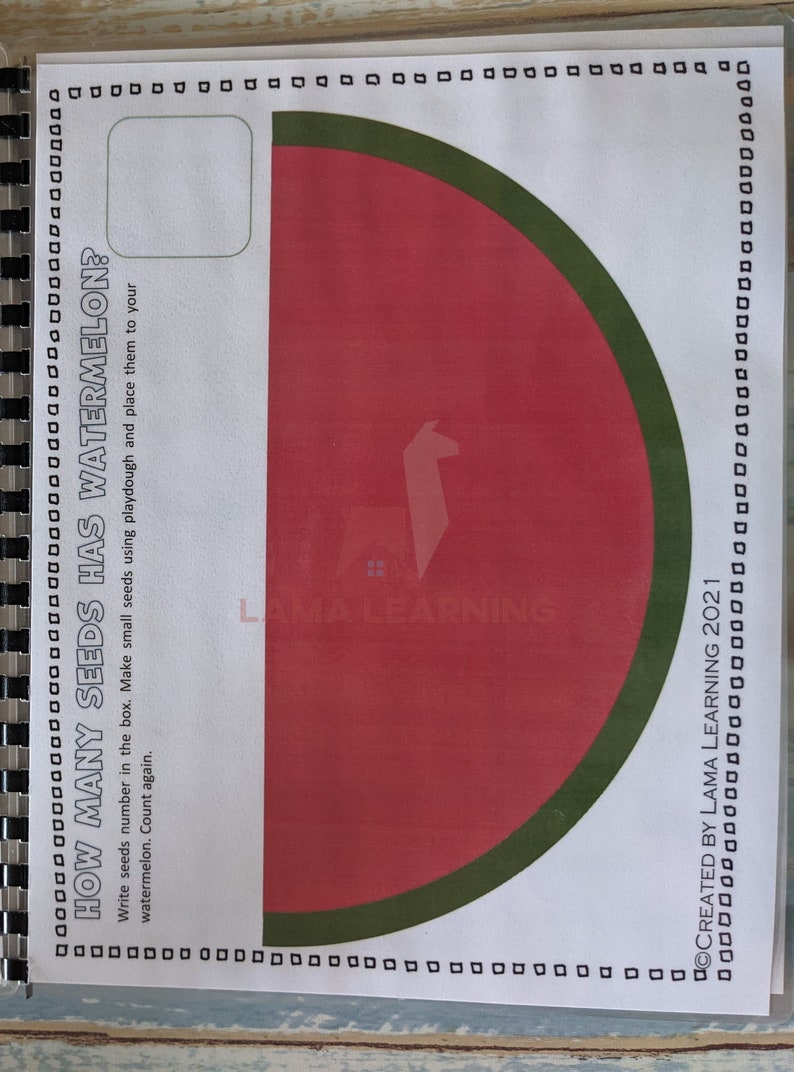 Fruits Vegetables Busy Book Activities Shadow Matching - Etsy