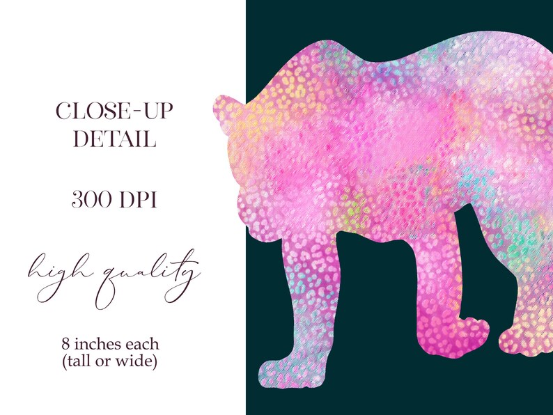 Jungle Rainbow Leopards Clipart, African Safari Spotted Cats, Jaguar ...