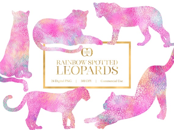 Jungle Rainbow Leopards Clipart African Safari Spotted Cats | Etsy