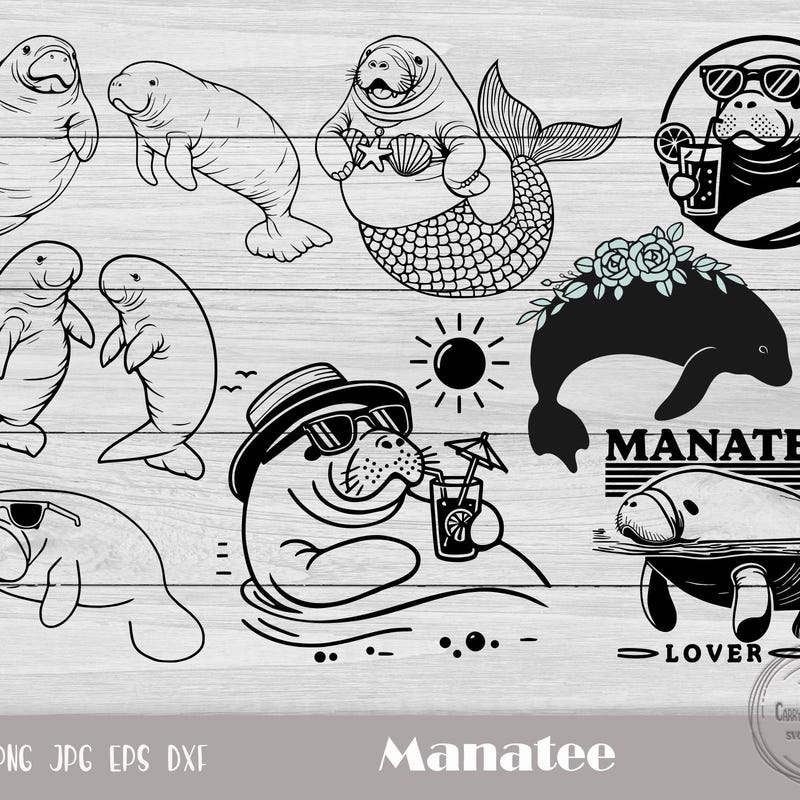 Manatee Svg - Etsy