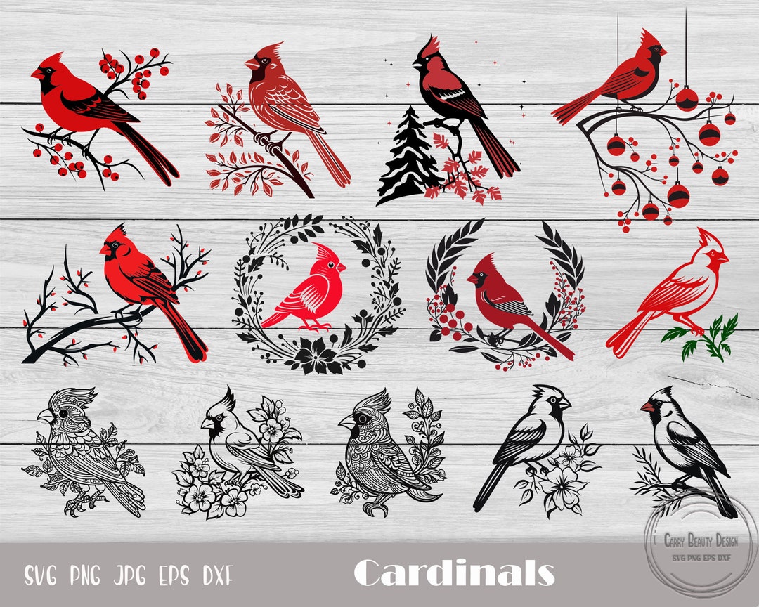 Cardinal Bird Svg, Cardinal Png, Cardinal Svg, Cardinals Cut File ...