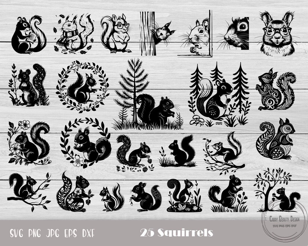 Cute Squirrel Svg, Squirrel Clipart, Squirrel Cut File, Baby Squirrel ...