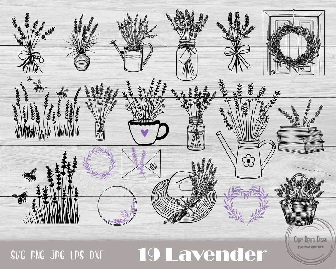 Lavender Svg, Lavender Clipart, Lavender Png, Botanical Svg, Lavender ...