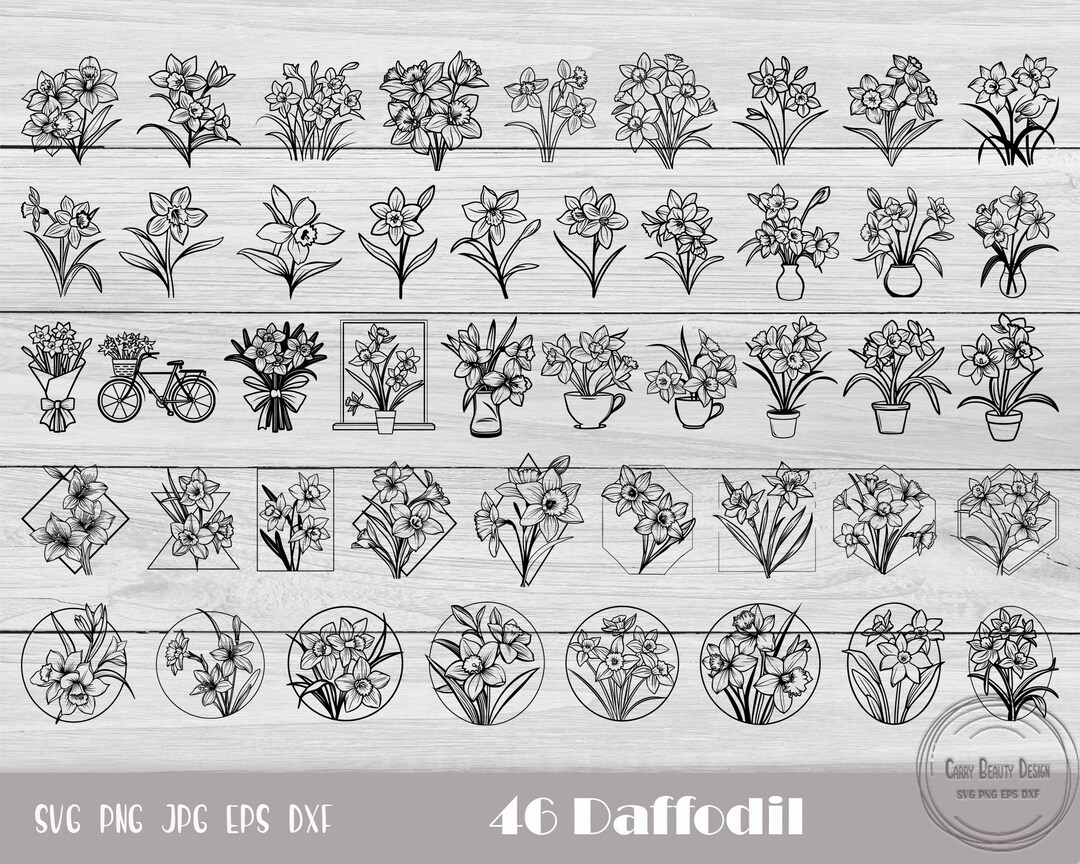 Daffodil Flower Svg,daffodil Svg, Spring Flowers Svg, Spring Flower Svg ...