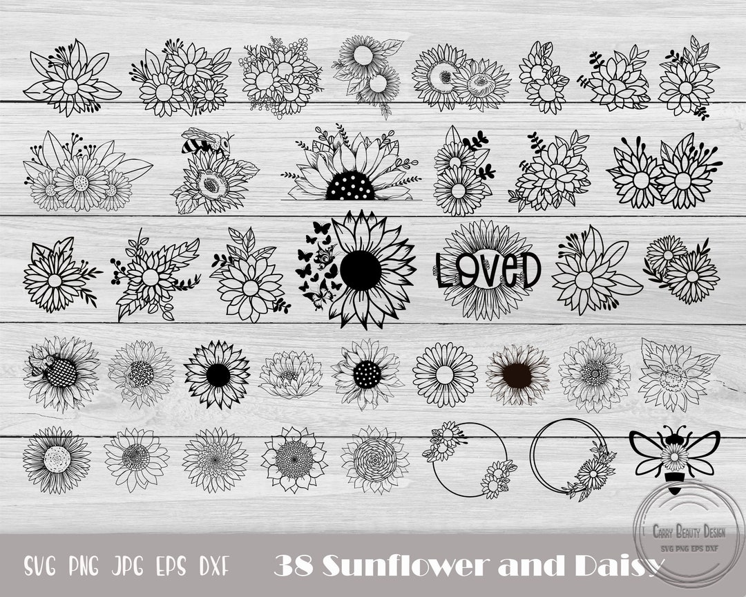 38 Sunflower Svg, Daisy Flower Svg, Half Daisy Svg, Sunflower Clipart ...