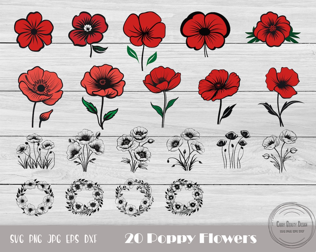 Poppy Svg, Poppy Cut File, Floral Svg, Poppy Clipart, Remembrance Day ...
