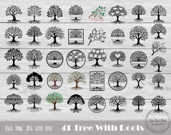 Pecan Tree - Etsy