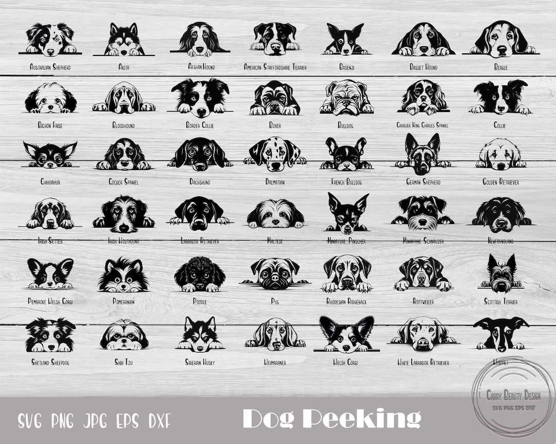42 Peeking Dogs Svg, Dog Svg, Dog Breed Svg, Dog Lover Svg, Dog Face ...