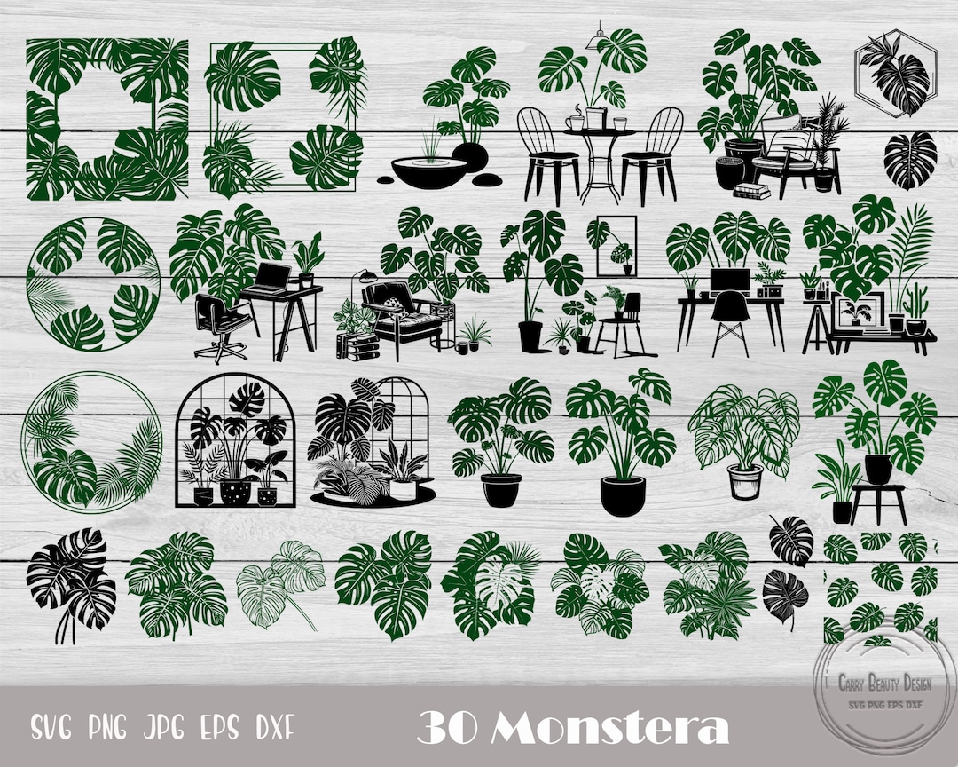 Monstera Leaf Svg, Monstera Svg, Tropical Leaves Svg, Botanical Svg ...