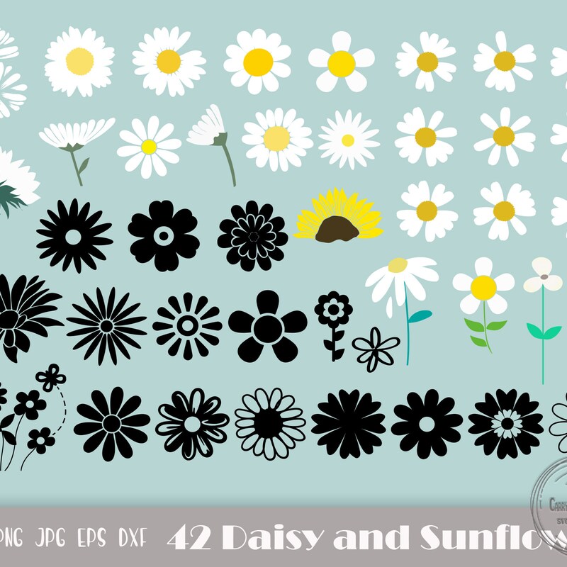 Daisy Flower Svg - Etsy