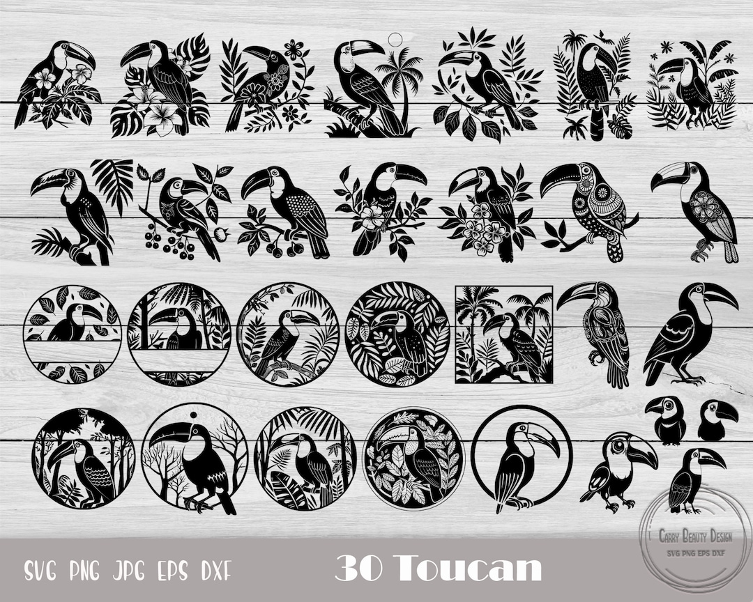 Toucan Silhouette, Toucan Svg, Tropical Bird Svg, Bird Svg, Toucan ...