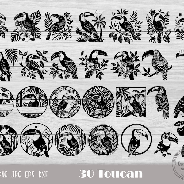Toucan Svg - Etsy