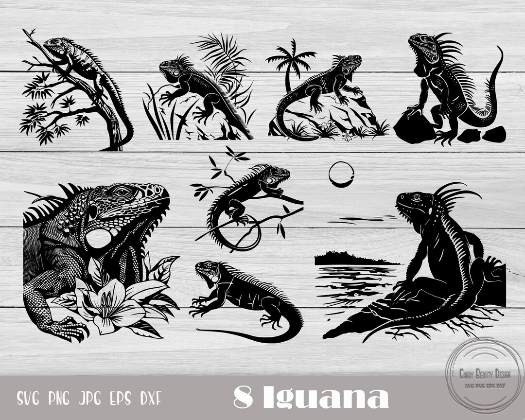 Iguana Clip Art, Iguana Svg, Iguana Cut File, Chameleon Svg, Wild ...