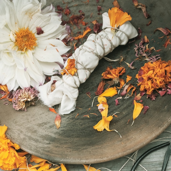 Botanical Dye - Etsy