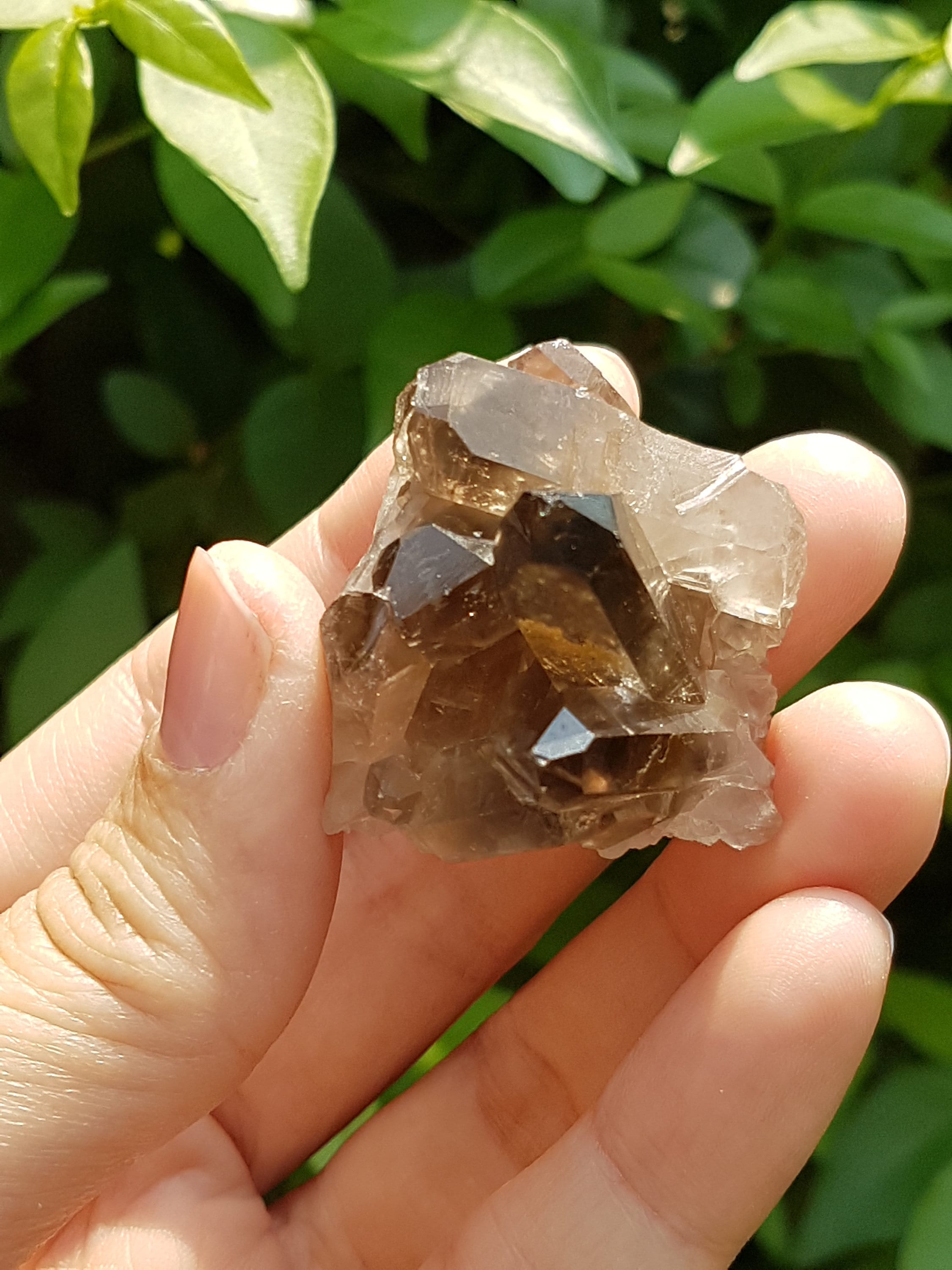 Natural Smoky Quartz Cluster Raw Smoky Quartz Cluster Smoky | Etsy Natural Smoky Quartz Cluster Raw Smoky Quartz Cluster Smoky | Etsy