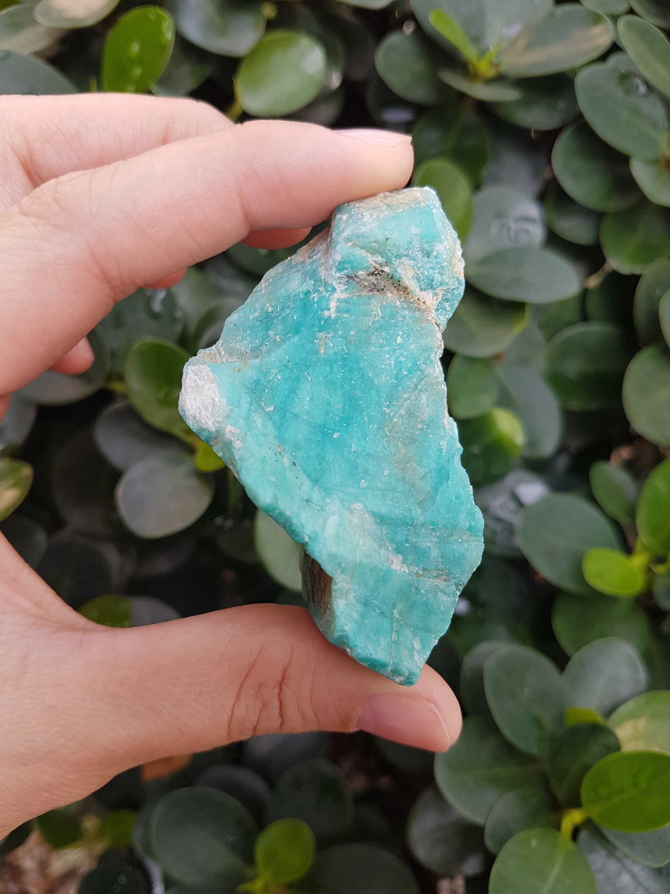 Raw Amazonite Crystal palm Size the Virgo Stone for Yin | Etsy