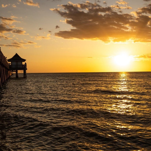 Authentic Florida - Etsy