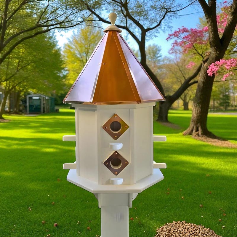 Bird House Predator Guard - Etsy