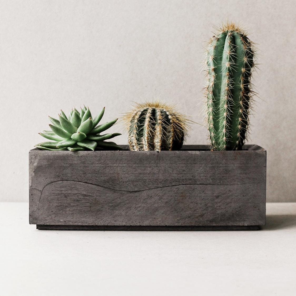 Yellow Terracotta Concrete Planter Box | Minimalist Planter Pot ...