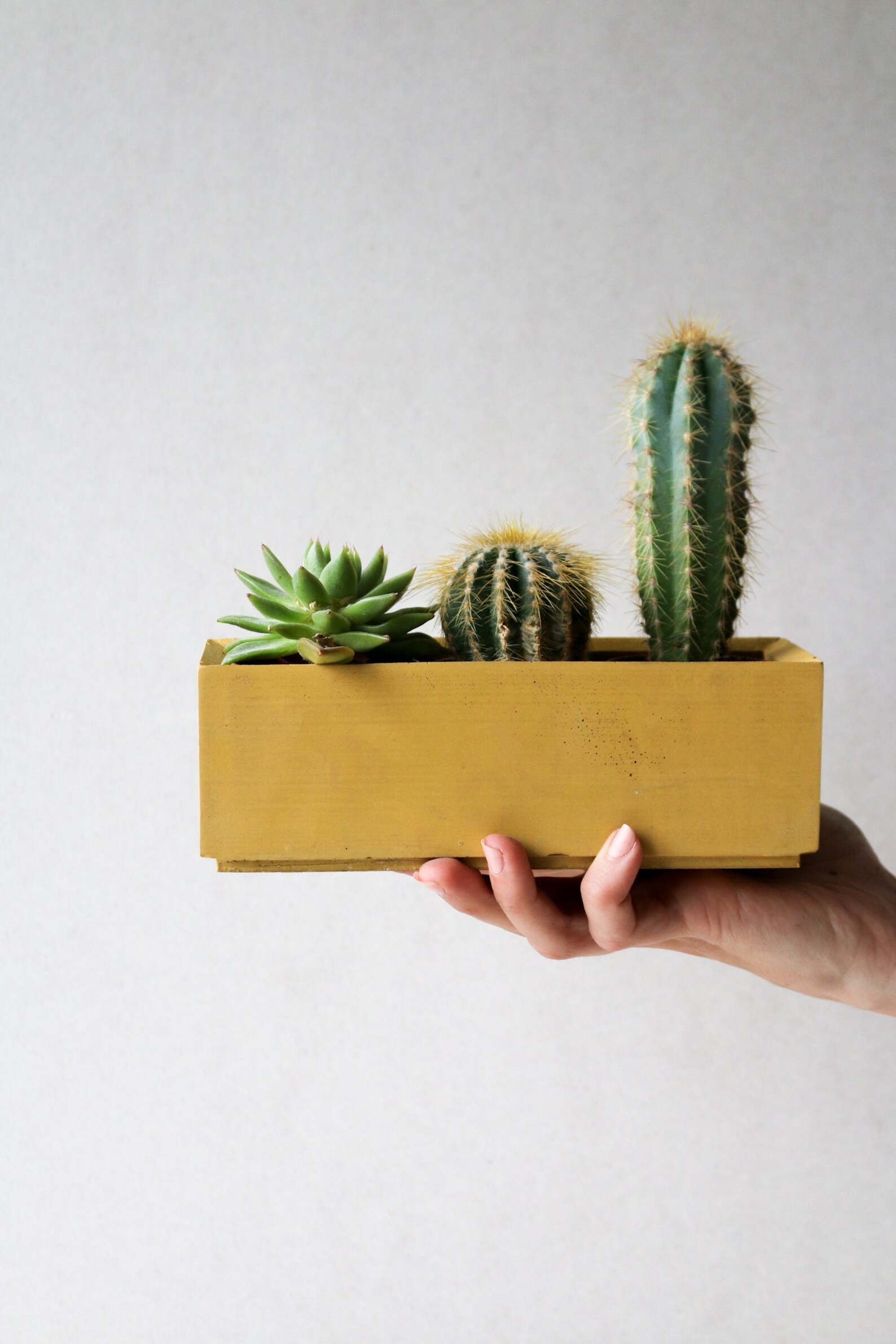Yellow Terracotta Concrete Planter Box Minimalist Planter - Etsy