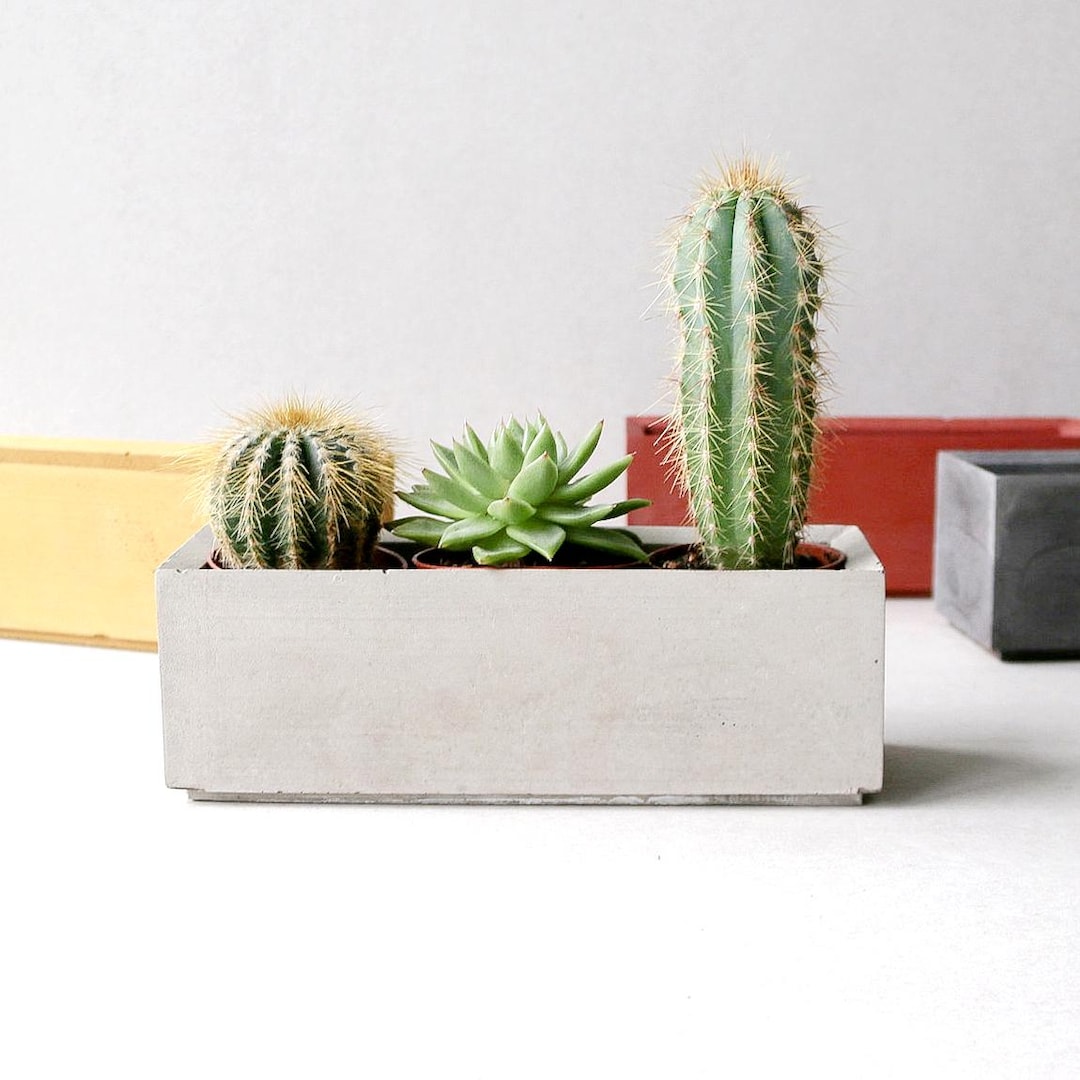 Rectangular Indoor Planter Box, Minimalist Planter Pot, Succulent Plant ...
